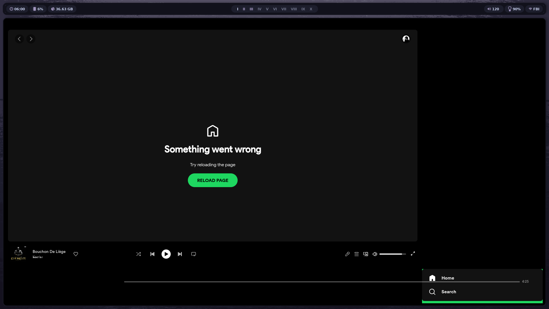 Matte, Dribbblish · Issue #958 · spicetify/spicetify-themes · GitHub