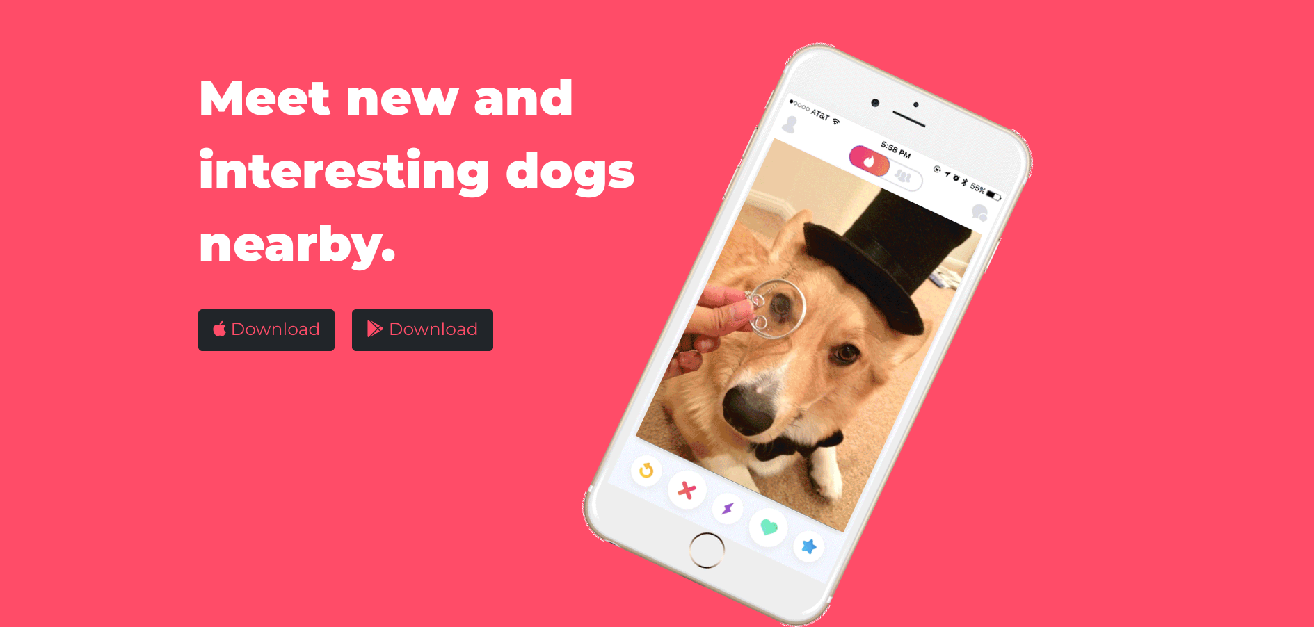 GitHub - terryyufei/tindog: Learning Bootstrap with Angela Yu