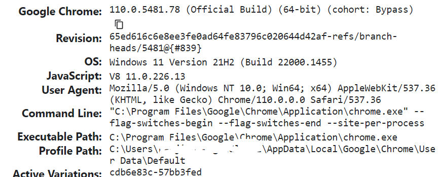 [🐛 Bug]: Chrome browser is naot launching once after version 109.0.5414.75 upgrade · Issue ...