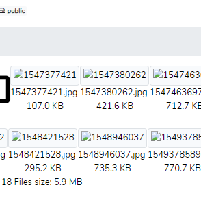 Images not showing · Issue #17 · alexusmai/laravel-file-manager · GitHub