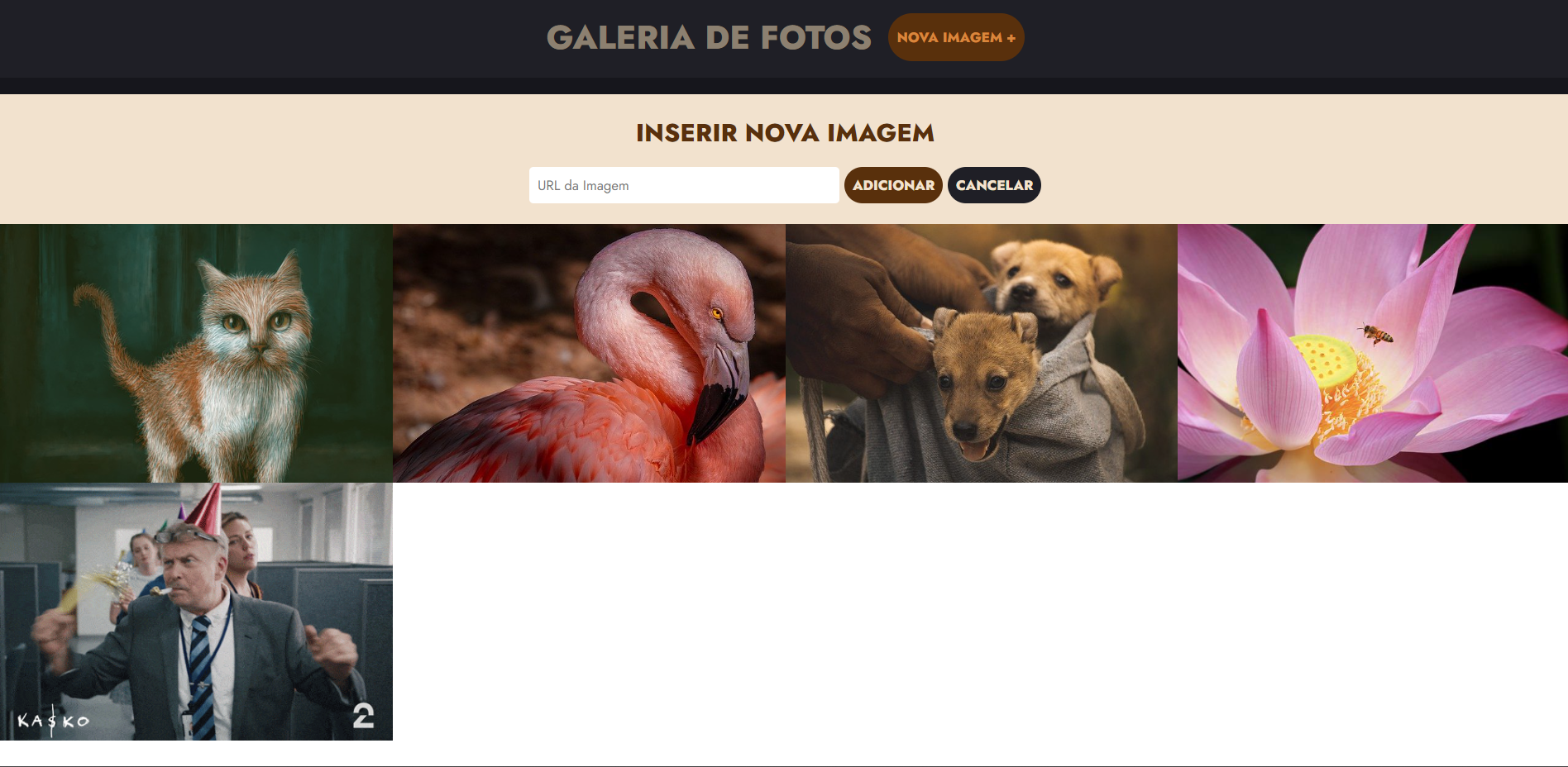GitHub - fde95/galeriaImagens-jQuery