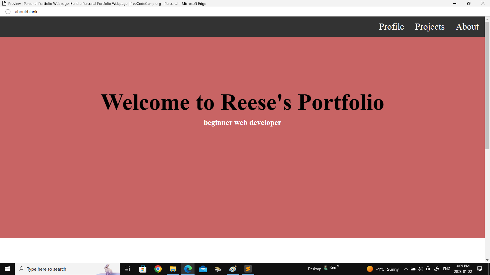 GitHub - ReeseOchitwa/Portfolio