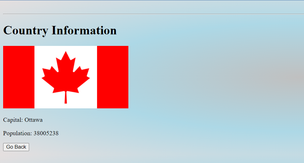 GitHub - JisooKang03/Country-Information