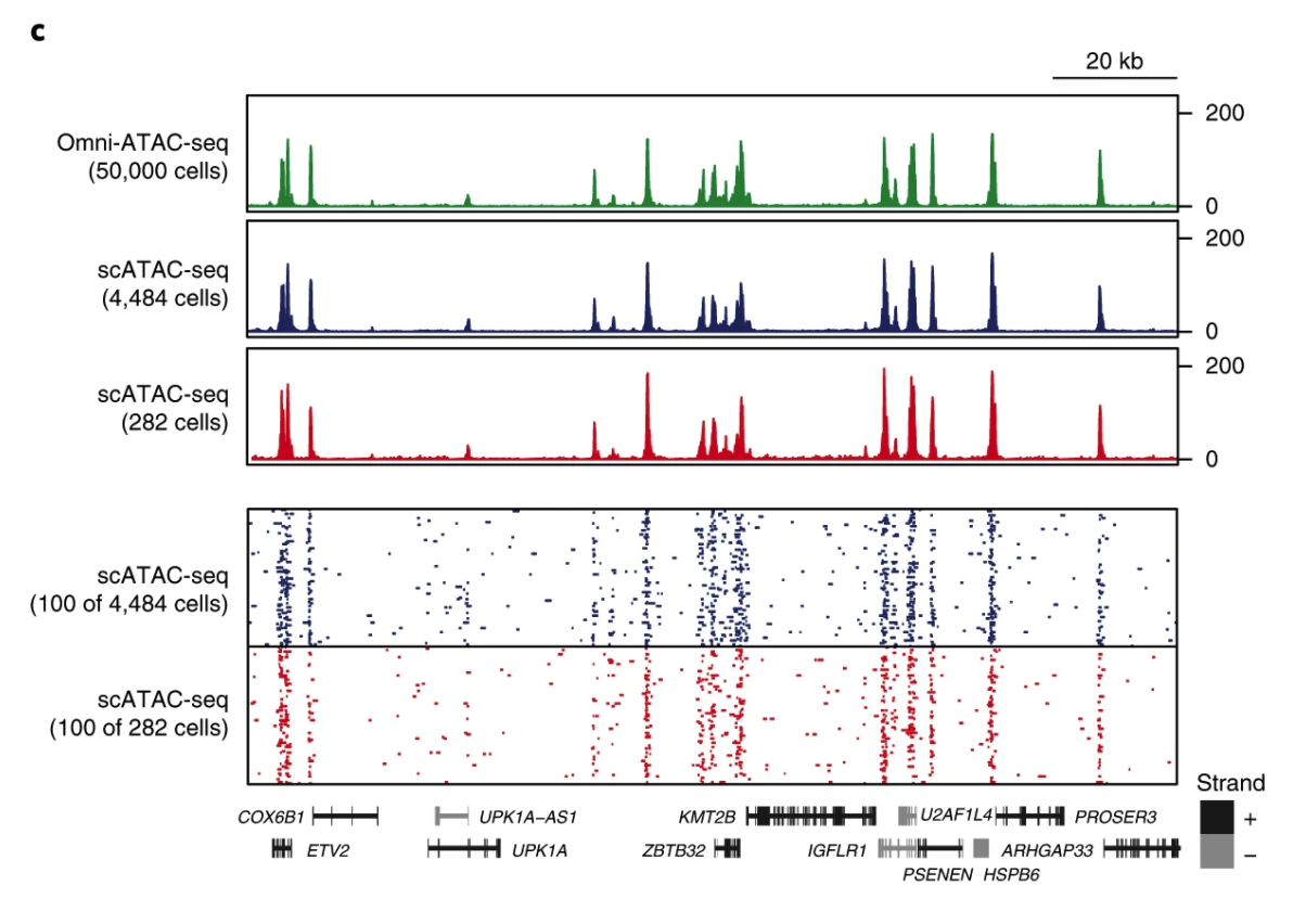 Coverageplot For The Fragment Presence Per Signele Cell · Issue 166 · Stuart Labsignac · Github 4254