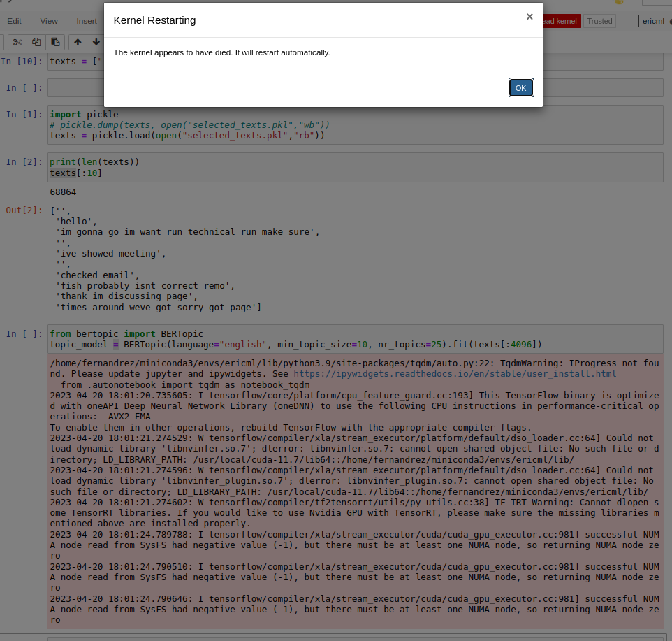 When I try to fit an array with 4096 sentences or more, the kernel dies in jupyter · Issue #1199 ...
