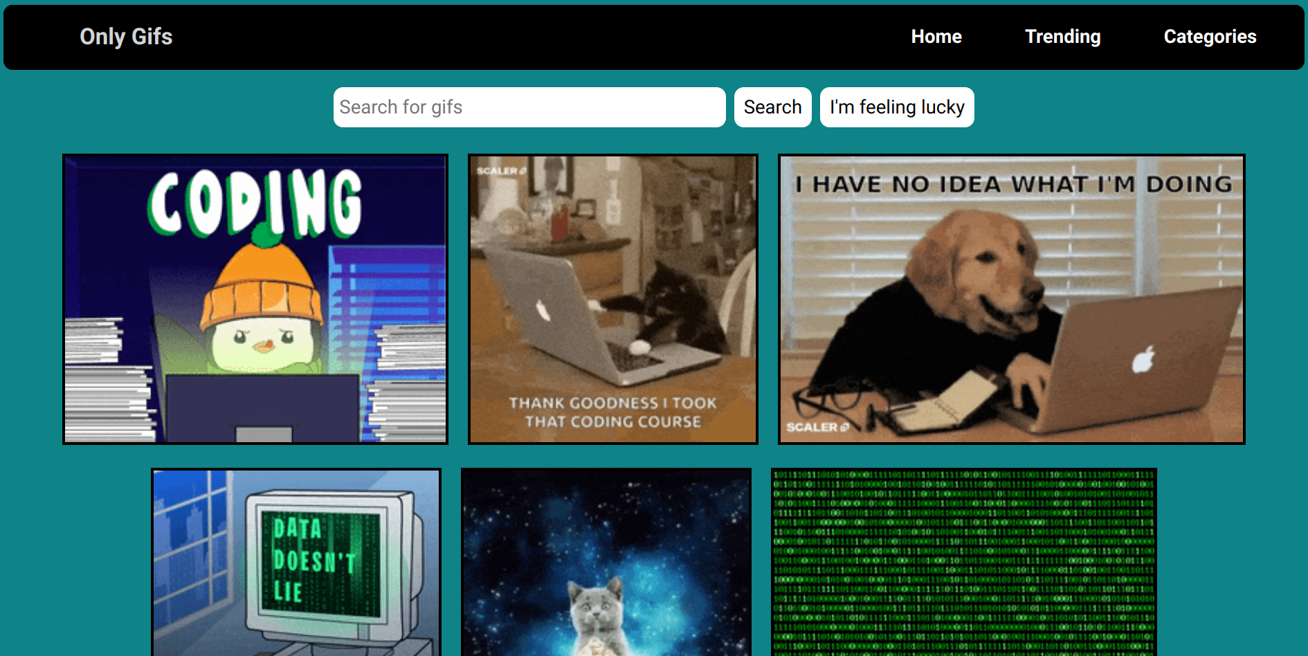 GitHub - liivaq/Giphy-API GitHub - liivaq/Giphy-API