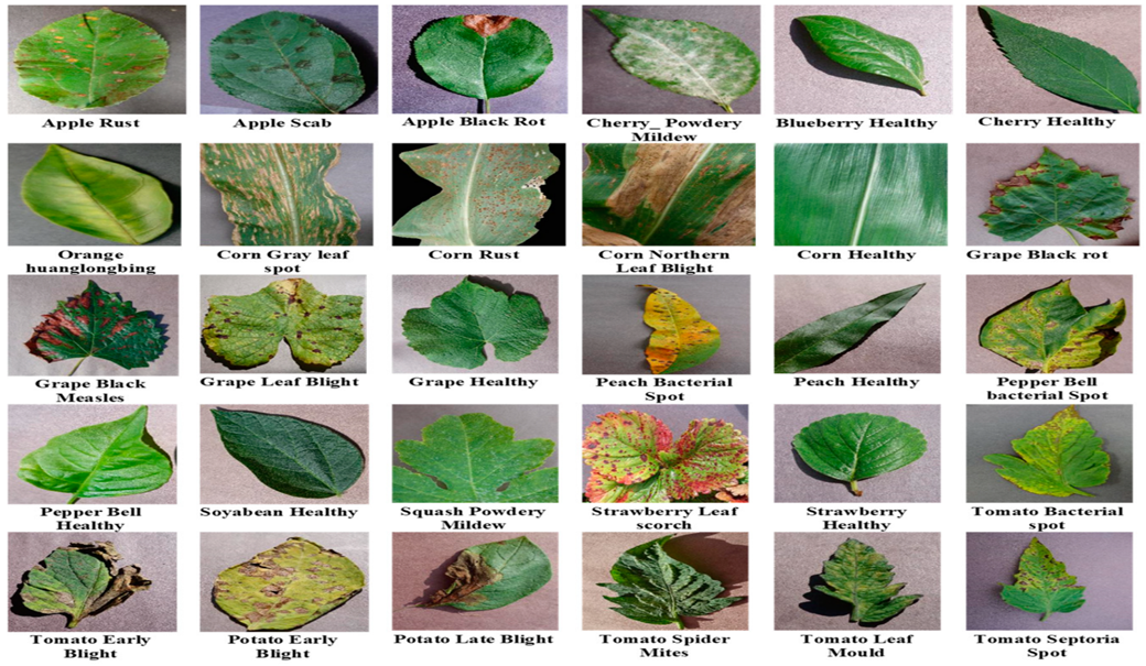 GitHub - HimanshuPyakurel/Plant-Disease-Detection: Predict plant ...