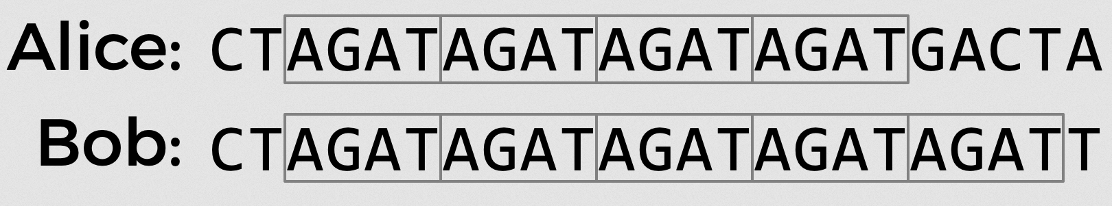 GitHub - Aeziren/dna-identifier: A program that identifies a person ...
