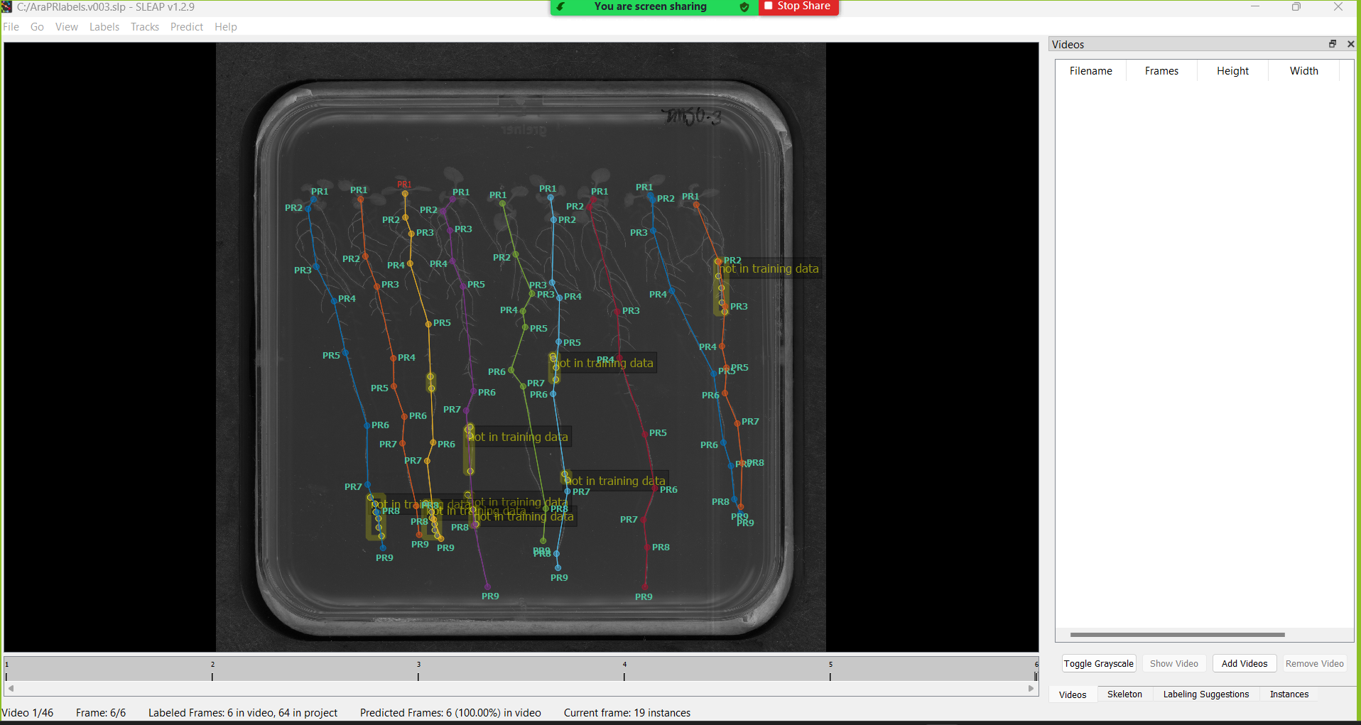 Videos not appearing in the video window · Issue #1152 · talmolab/sleap · GitHub