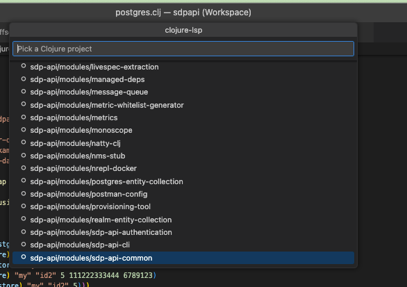 Multiple LSP processes automatically running, broken LSP features in multi-root workspaces ...