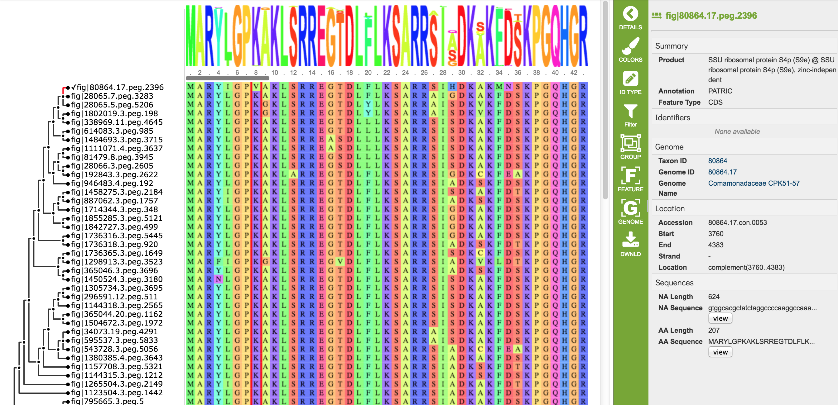 Msa Tree And Msa Dont Match · Issue 1804 · Patric3patric3website · Github 