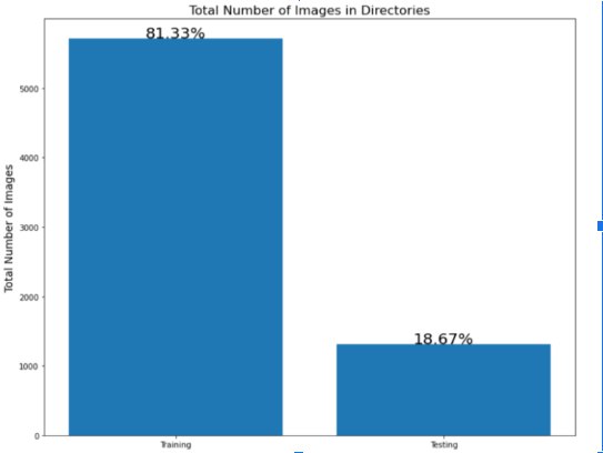 GitHub - Bek7182/FinalProject