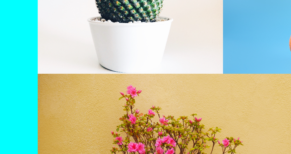 GitHub - sonalrajsr/Web_d_Learning-design-1