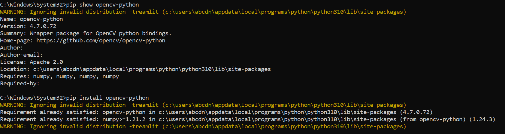 Streamlit Getting Stored With Some Weird Name Throwing Invalid Distribution Warning On