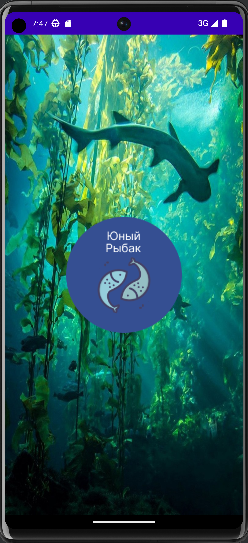 GitHub - EgorVasilevVictorovich/Fish