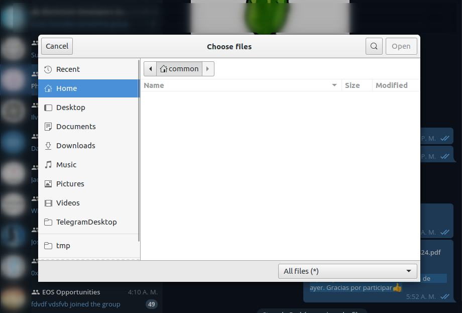 I Can T See My Files When Trying To Add An Attachment · Issue 5955 · Telegramdesktop Tdesktop