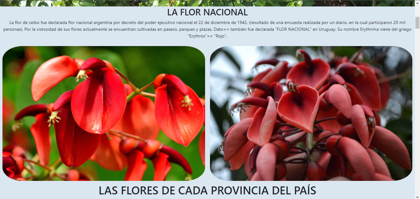 GitHub - macachana/Plantas-y-Flores-Provincias: this is my second web page,created together with ...