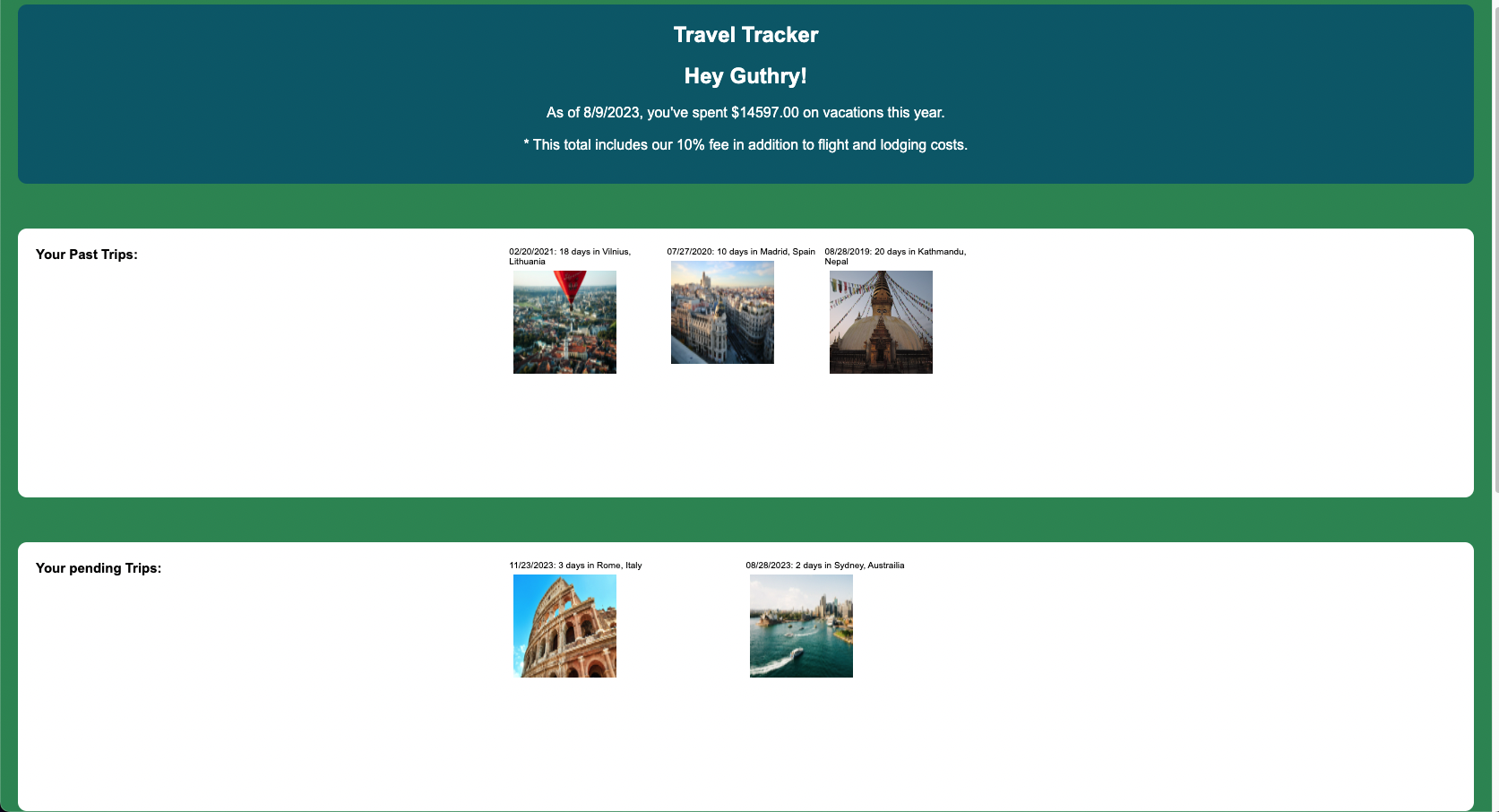 GitHub - Averyberryman/Travel-Tracker