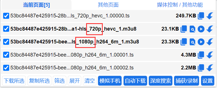 支持从大到小显示资源列表【或标红】 · Issue #163 · xifangczy/cat-catch · GitHub