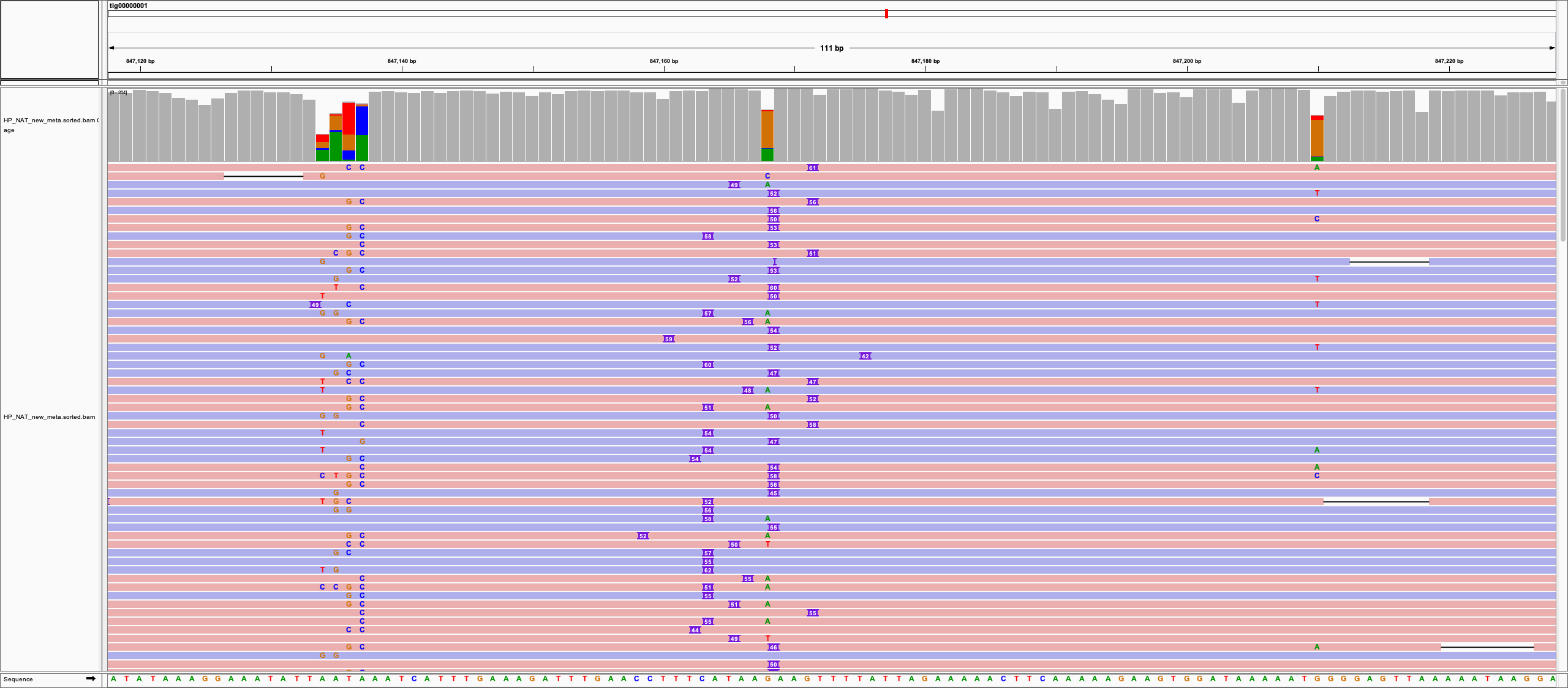 Small sequences missing in a bacterial assembly · Issue #1295 · marbl ...