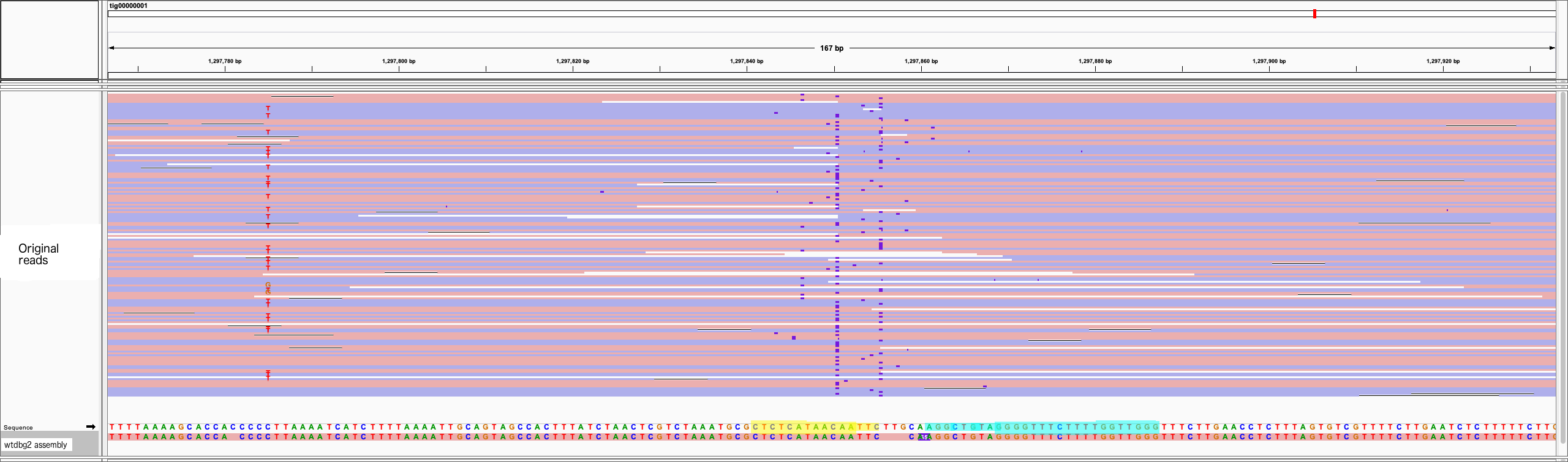 Small sequences missing in a bacterial assembly · Issue #1295 · marbl ...