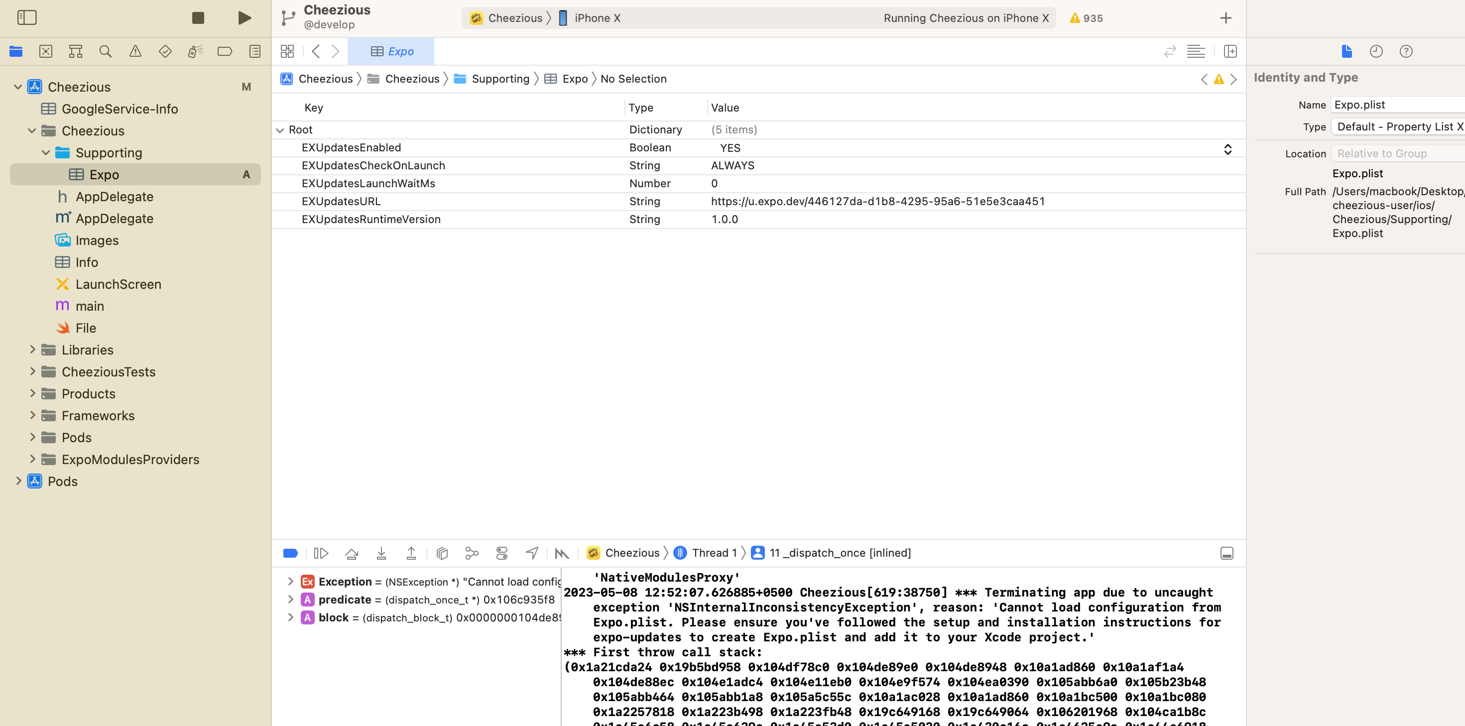 ios app crashing after installing expo-updates. · Issue #22407 · expo ...
