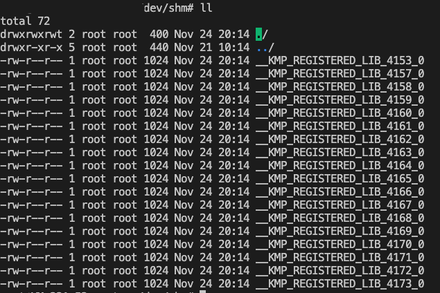 many KMP_REGISTERED_LIB files in /dev/shm · Issue #2455 · open-mmlab/mmcv · GitHub