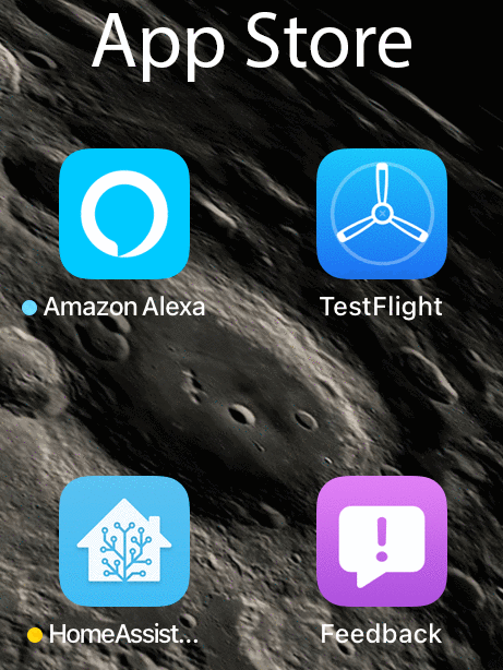 Icon scaling different between App Store download and "Release ...