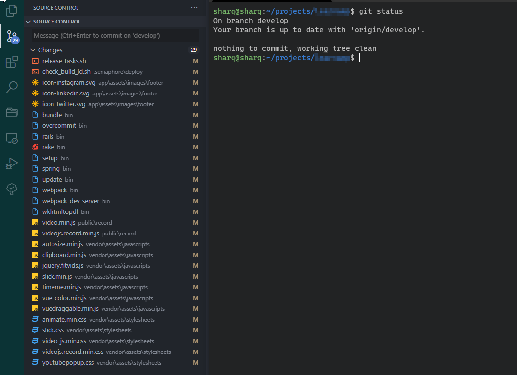 sudden issues with WSL2 and git · Issue #128291 · microsoft/vscode · GitHub