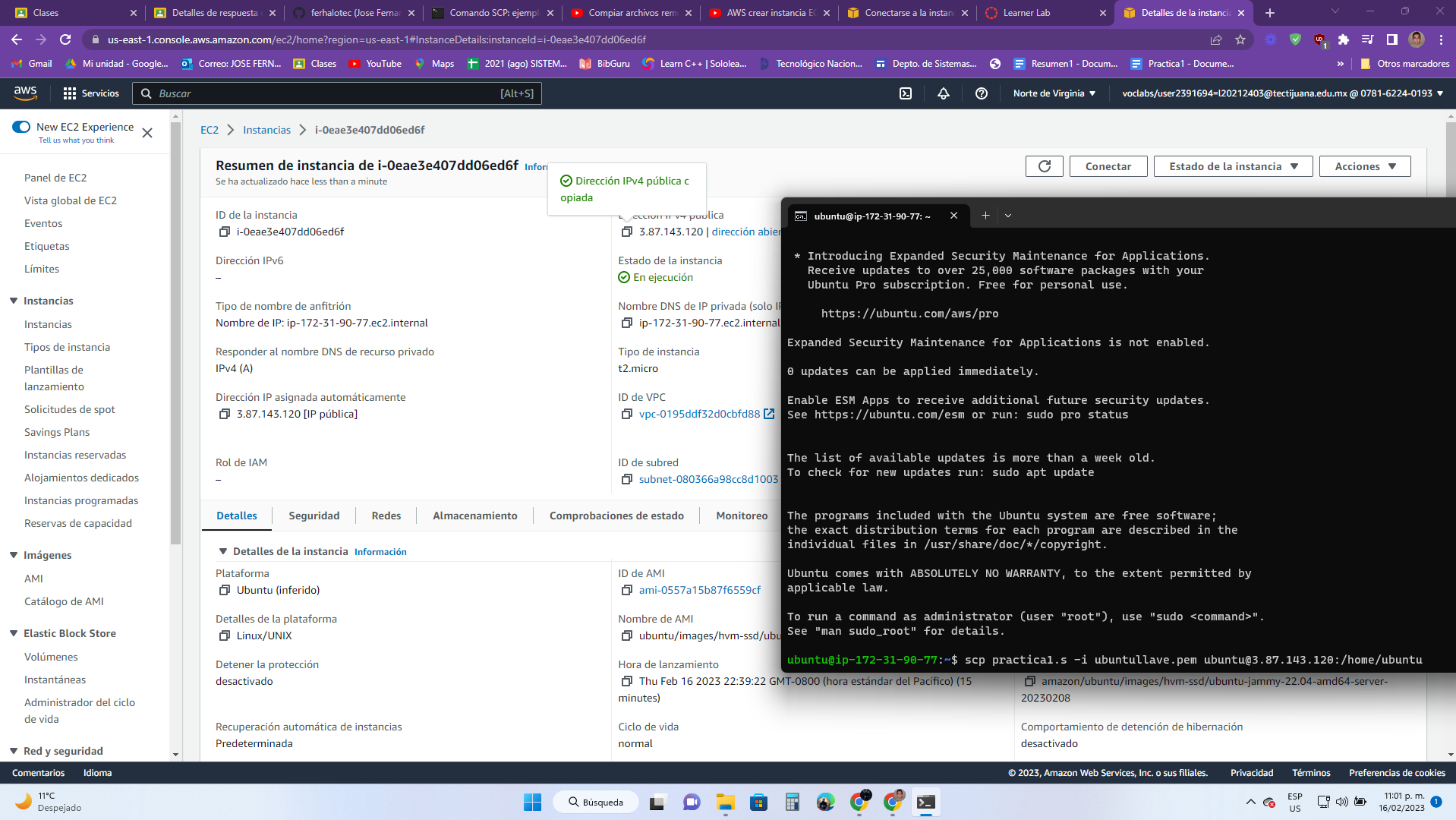 GitHub - tectijuana/fundamentos-de-git-ferhalotec: fundamentos-de-git-ferhalotec created by ...