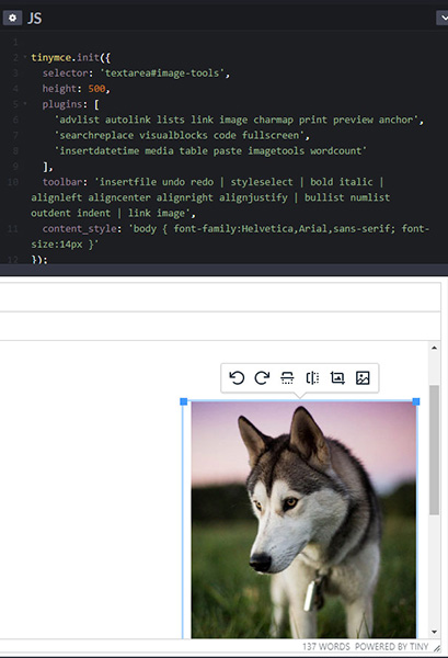 imagetools_toolbar bug with quickbars plugin? · Issue #6474 · tinymce ...