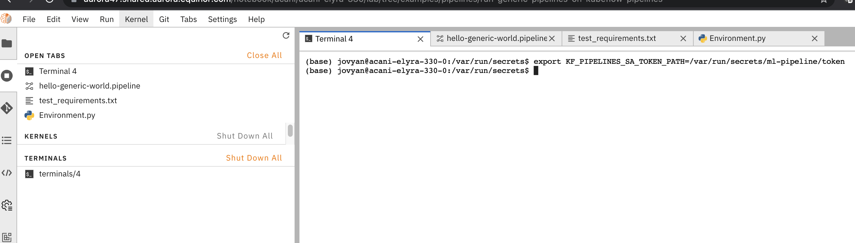Kubeflow Pipeline Token Auth Does Not Read Local Environment Variable Kfpipelinessatokenpath 