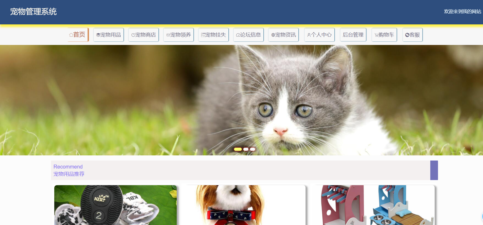 GitHub - small-bears/pet: 基于SSM框架的宠物领养系统