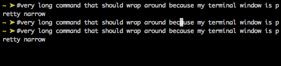 multi line (long command on narrow terminal window) editing troubles ...