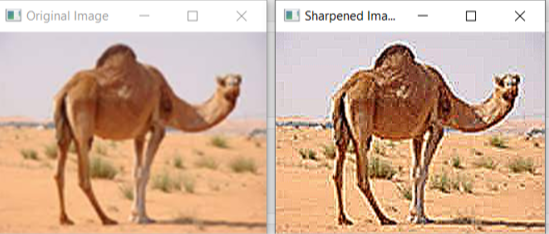 kareemmaged (Kareem Maged) · GitHub