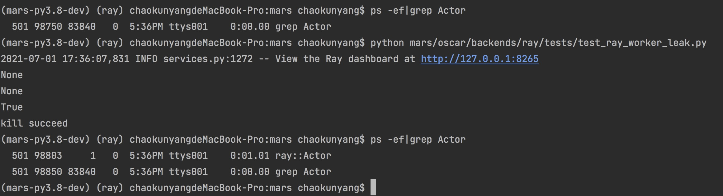 [Ray core] Ray worker process leak · Issue #16802 · ray-project/ray ...