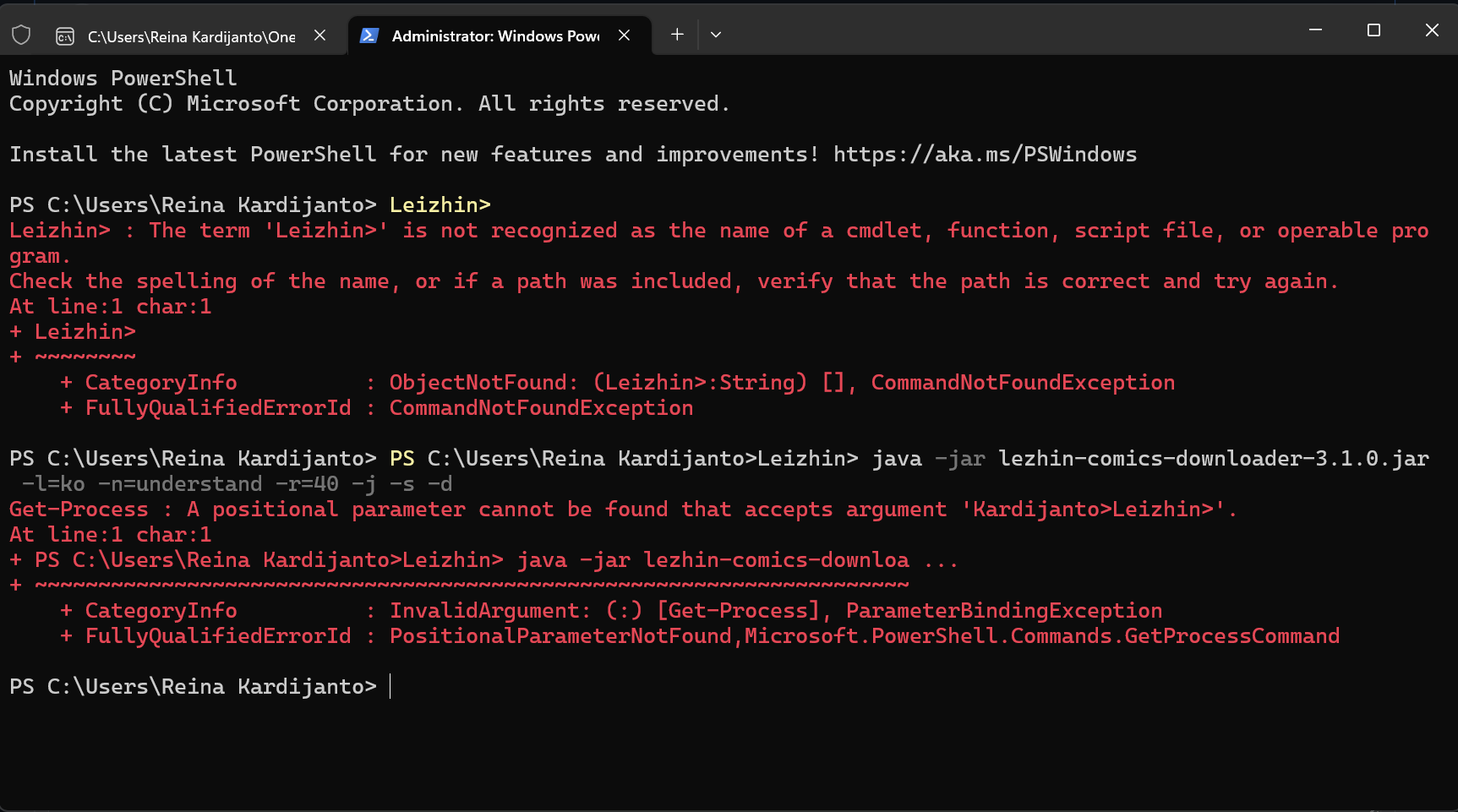 Not sure how to use it · Issue #209 · ImSejin/lezhin-comics-downloader · GitHub
