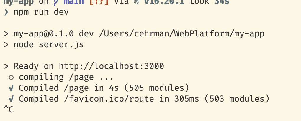 Custom server + App router doesn't run in dev mode · Issue #55278 · vercel/next.js · GitHub