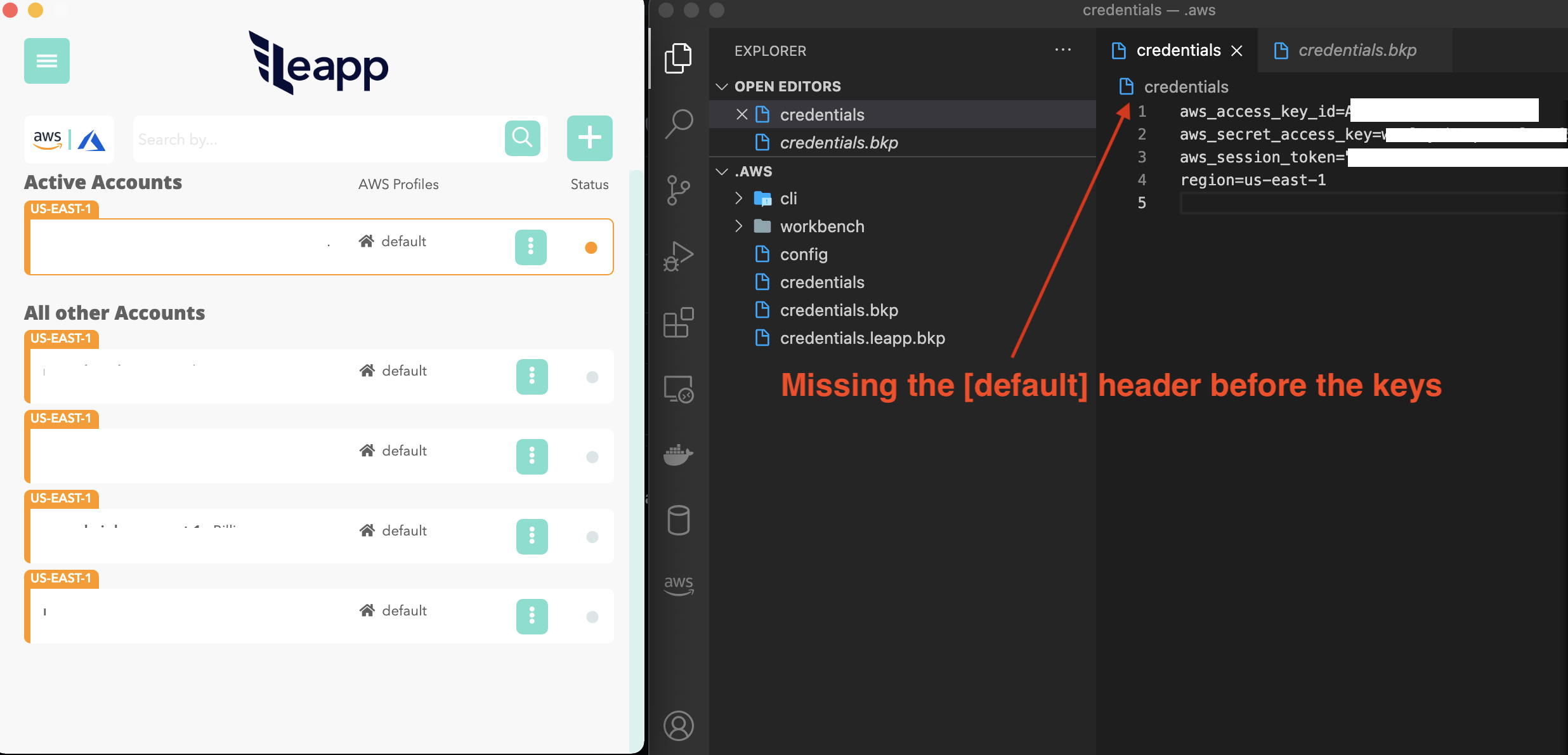Missing [default] header from AWS SSO imported accounts · Issue #115 · Noovolari/leapp · GitHub