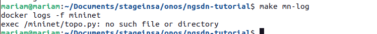 Branch Master Mininet Container Exit Issue · Issue 114 · Opennetworkinglab Ngsdn Tutorial