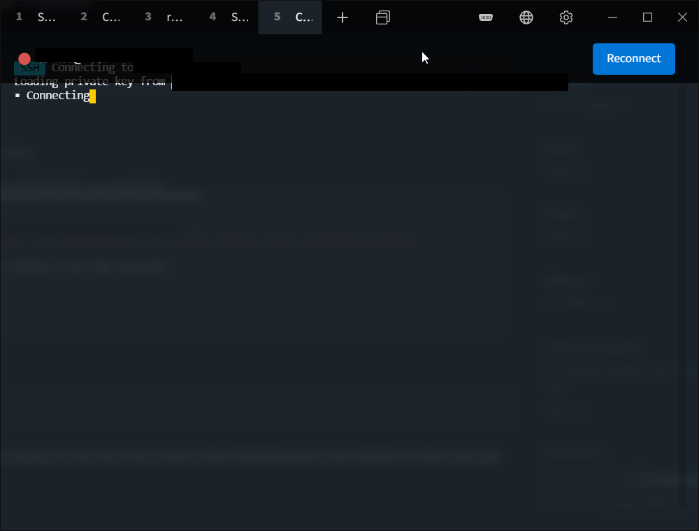 ssh connection with key · Issue #3714 · Eugeny/tabby · GitHub