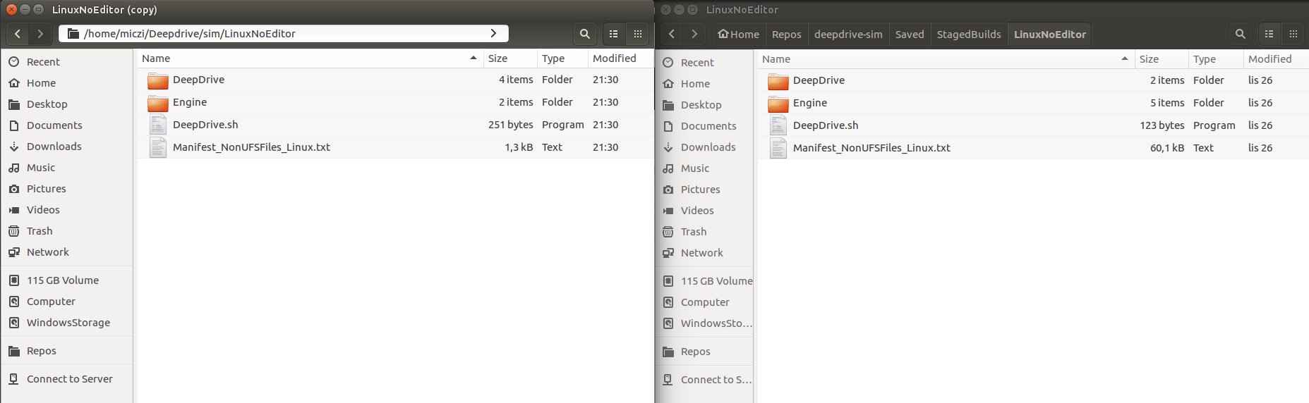 Unable to run `deepdrive` simulation with custom `deepdrive-sim ...