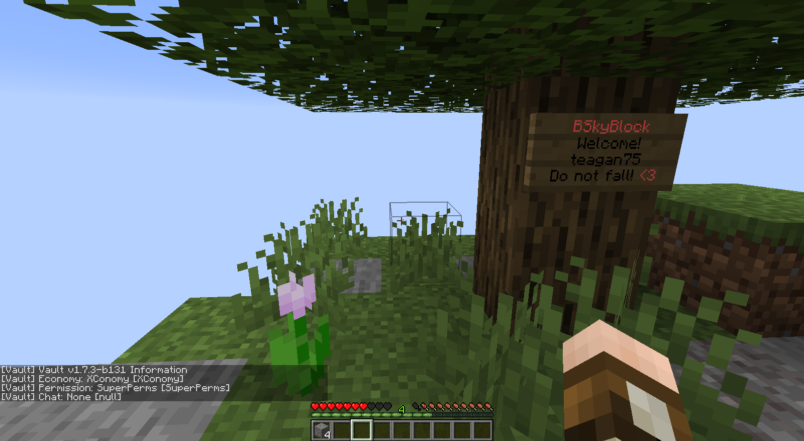 Addon not recognizing ecomony plugin installed · Issue #254 · BentoBoxWorld/Challenges · GitHub