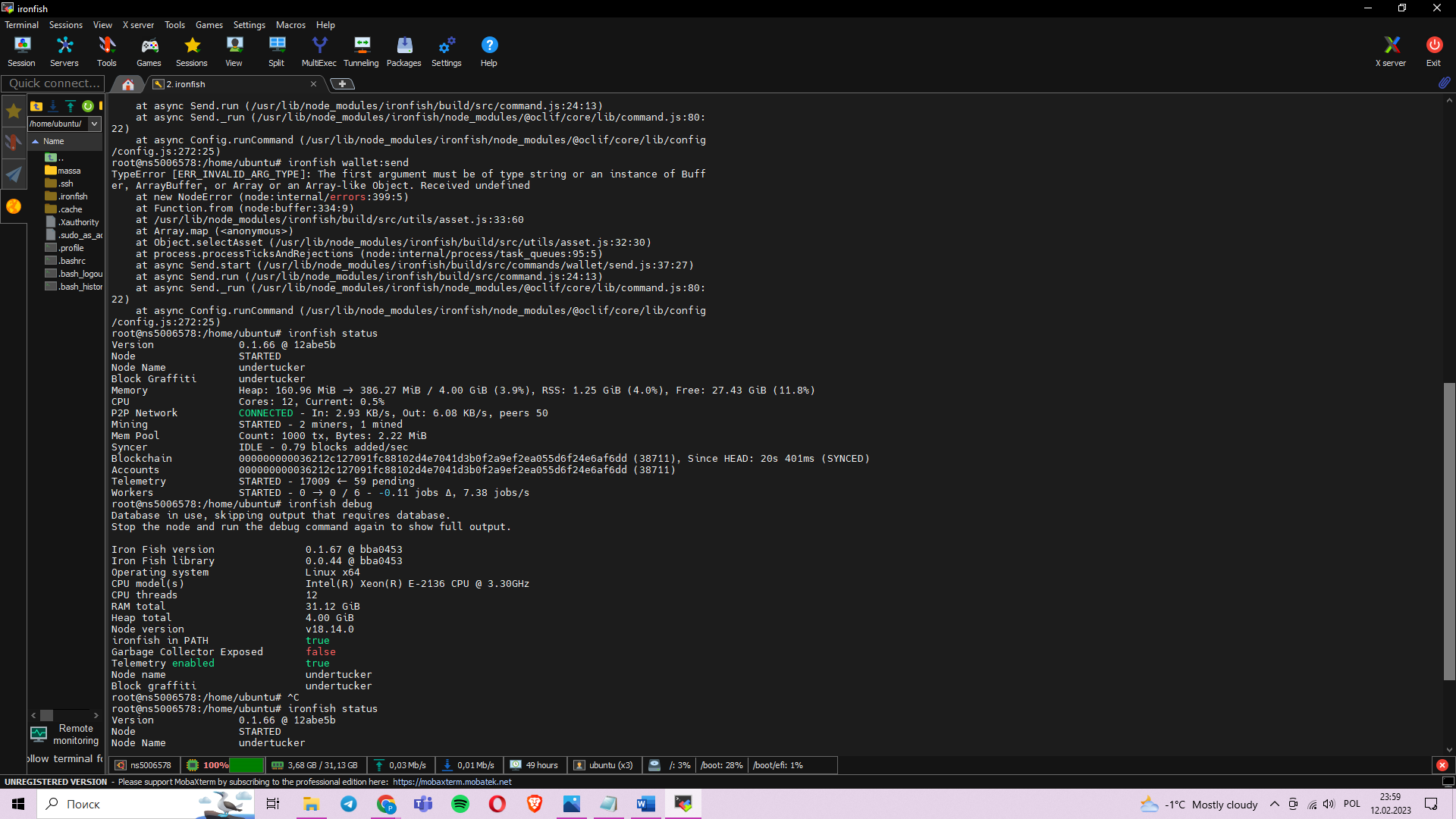 Cant send assets[ · Issue #3397 · iron-fish/ironfish · GitHub