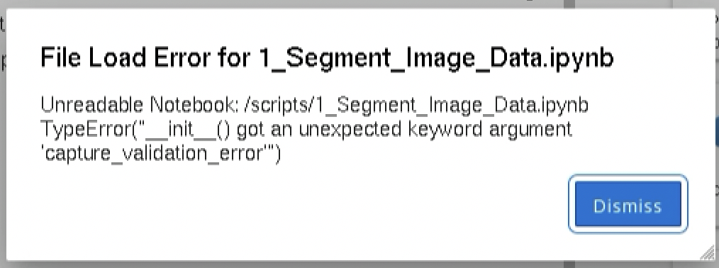 jupyterlab version causing unreadable notebook · Issue #700 · angelolab/ark-analysis · GitHub