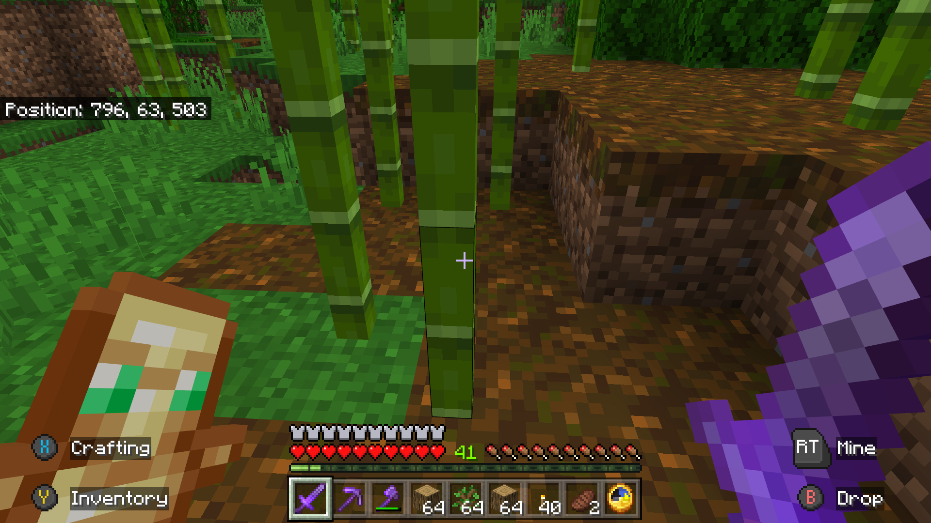 Bamboo Placement · Issue #3545 · GeyserMC/Geyser · GitHub