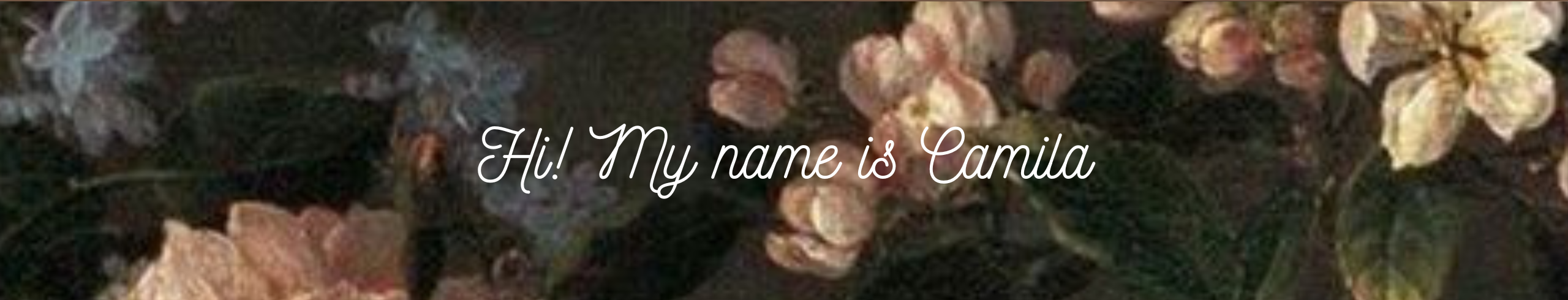 Cam1ss (Camila Braúna) · GitHub