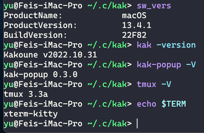 popup window not show up · Issue #3 · enricozb/popup.kak · GitHub