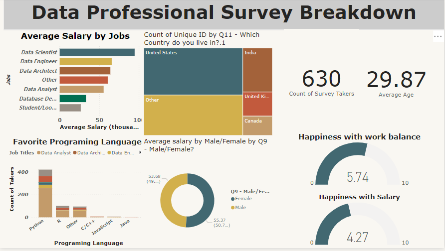 GitHub - LePhongCongThanh/POWER-BI: Data Professional Survey Breakdown