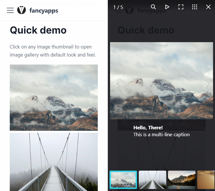 If viewport zoomed, fancybox images are incorrect size · Issue #289 · fancyapps/ui · GitHub